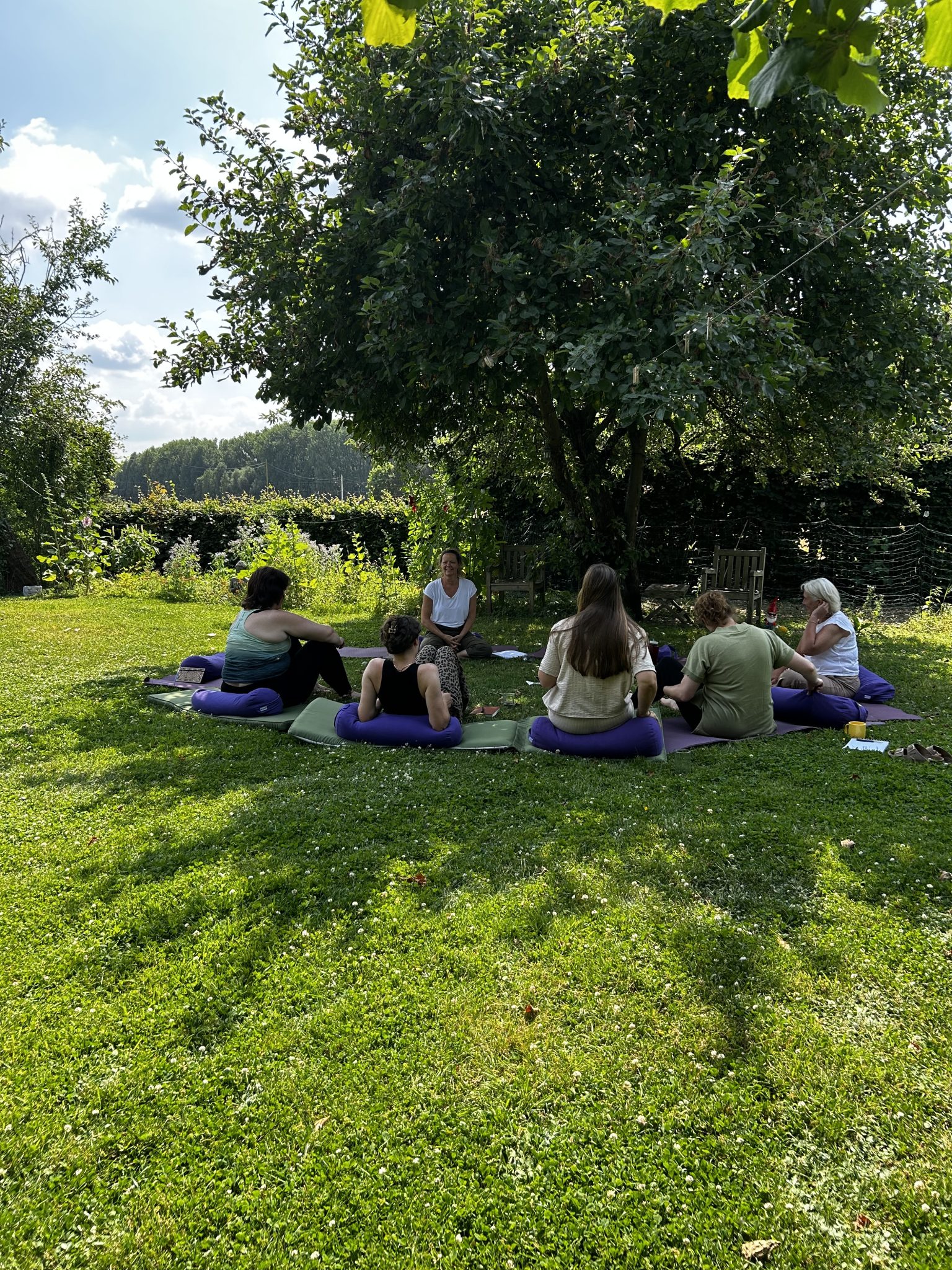 Back in Balance • Holistische, lichaamsgerichte technieken voor ...