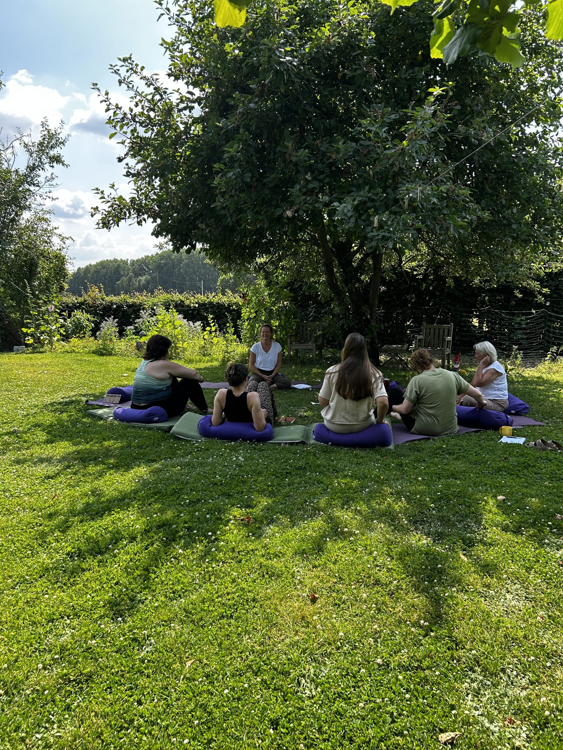 Back in Balance • Holistische, lichaamsgerichte technieken voor ...